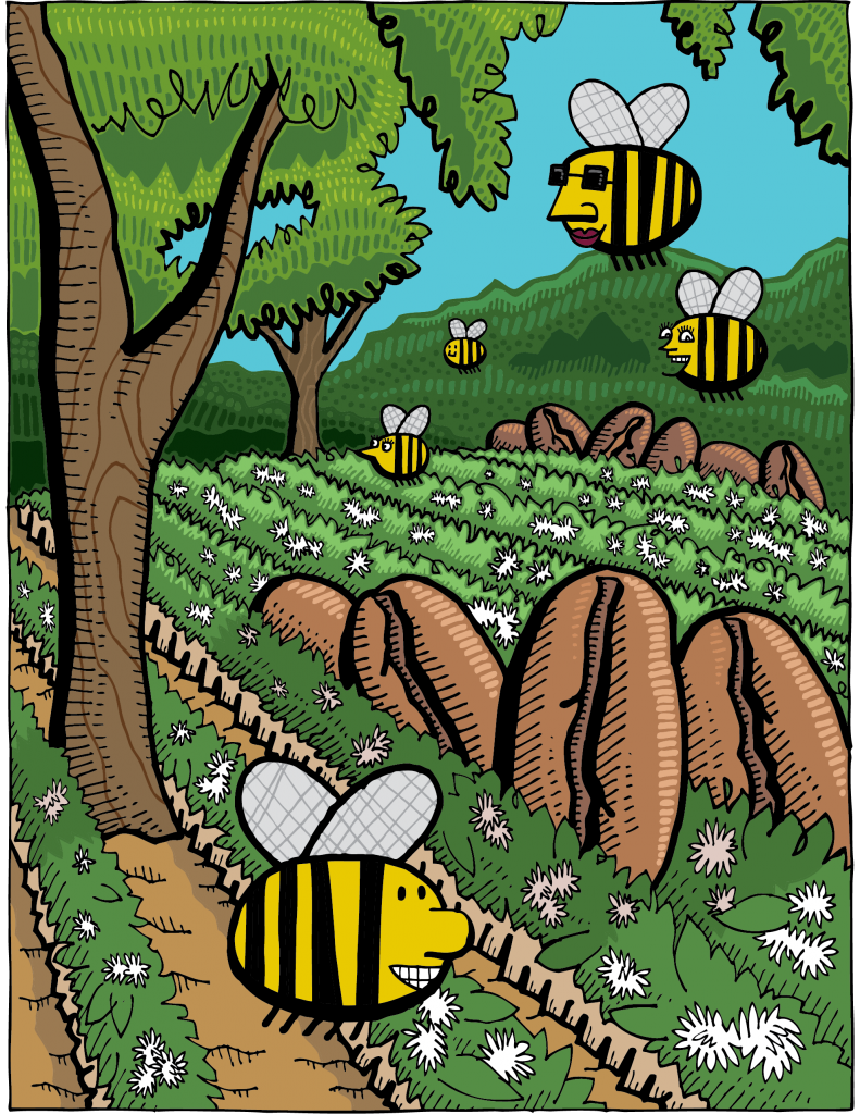 Zingerman's Coffee Company